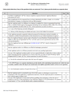 SBA Form 1919 – Borrower Information Form | Origin Form Studio