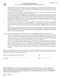 SBA Form 3508EZ – PPP EZ Loan Forgiveness Application + Instructions ...