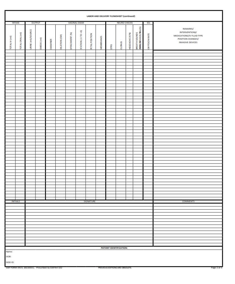 DAF Form 3915 – Labor and Delivery Flowsheet (DD Form 2005, Privacy Act ...
